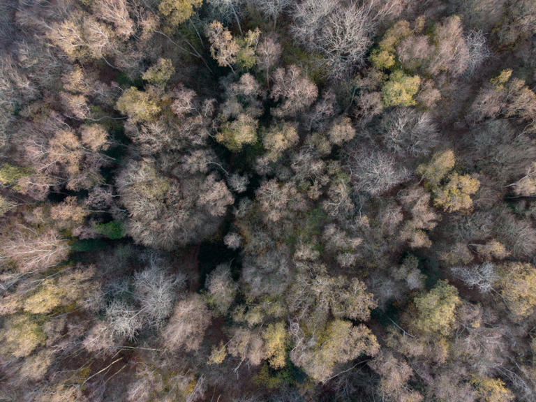 DJI Mini 5 Pro review – a huge leap forward for the mini drone