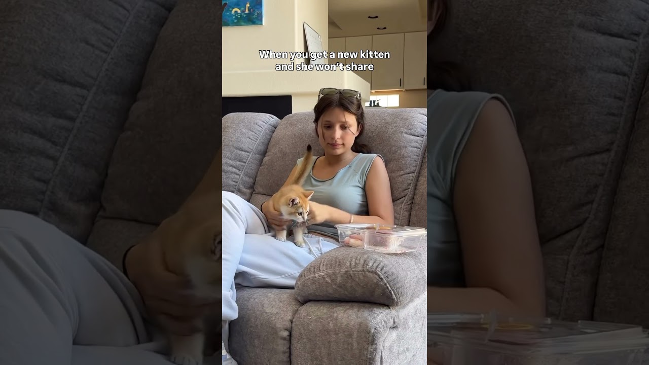 Loving our cat a little too much