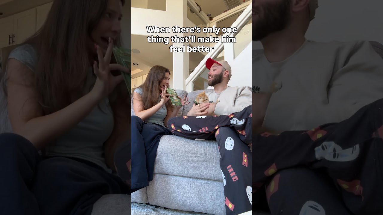 Girlfriend surprises me with a cat