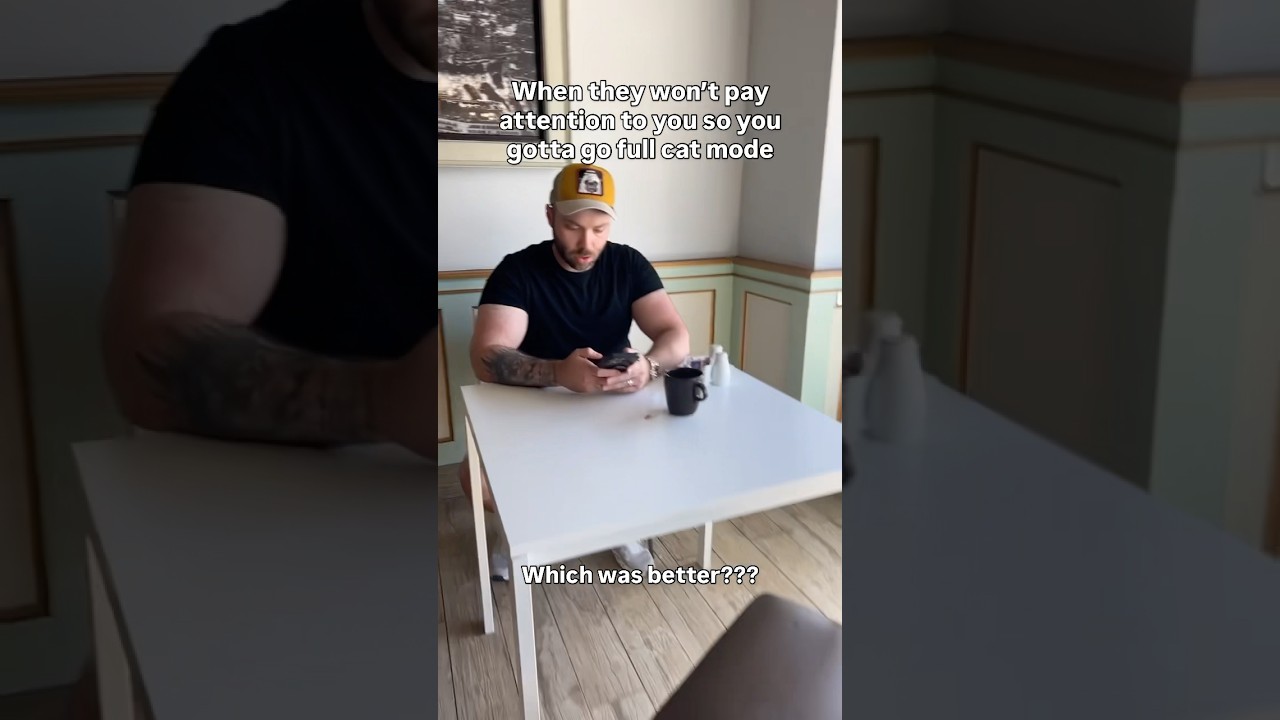 Watch chaos unfold as we compete in cat-level antics