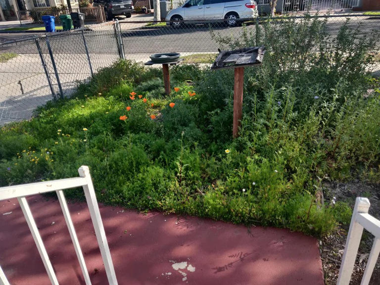 Tenant shares before-and-after photos after preventing landlord from ...