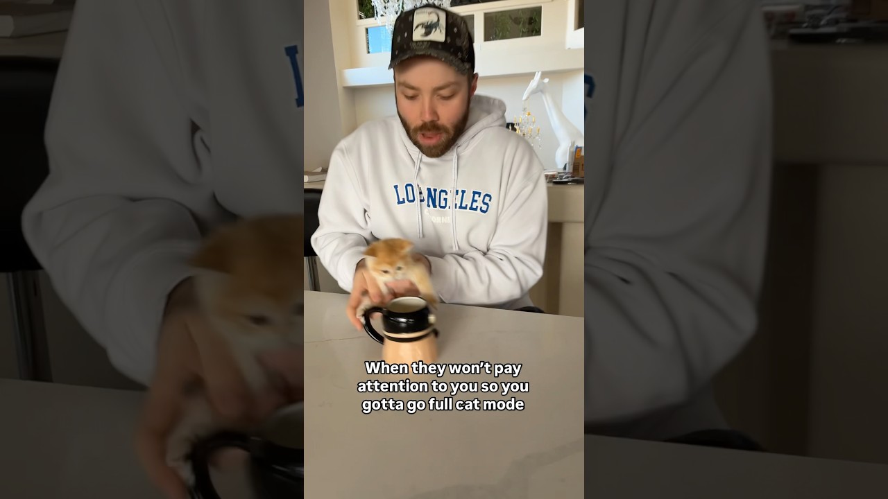 I act like a cat