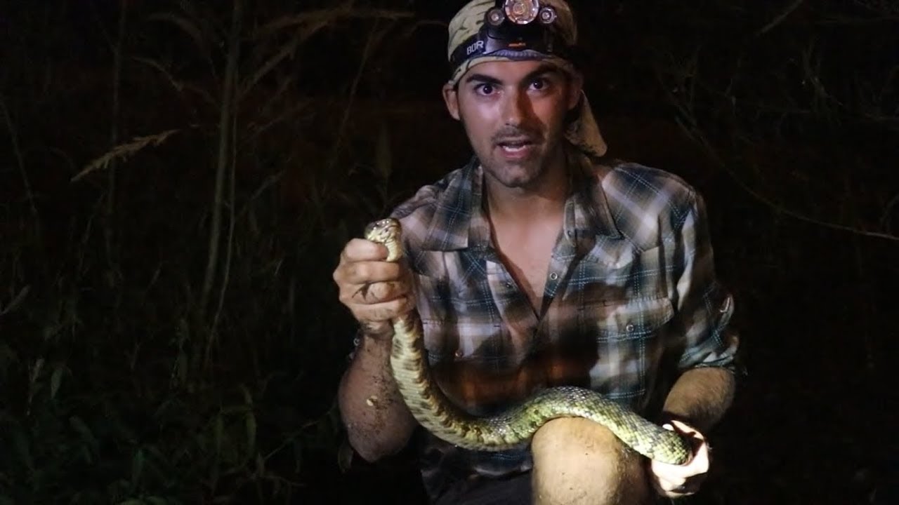 Close call with cottonmouth during shallow water fishing