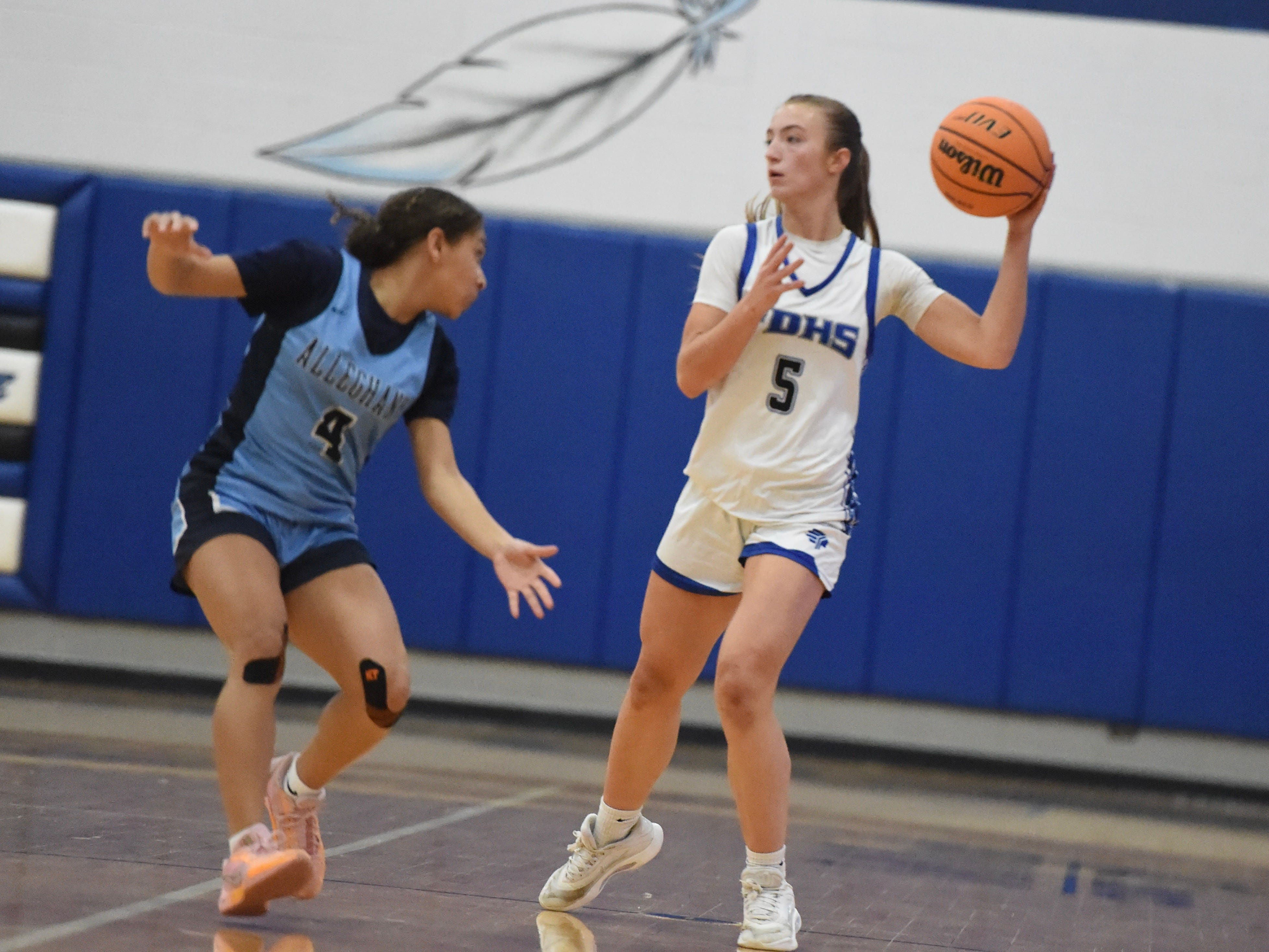 Strong 2nd half start propels Fort Defiance girls: Basketball roundup