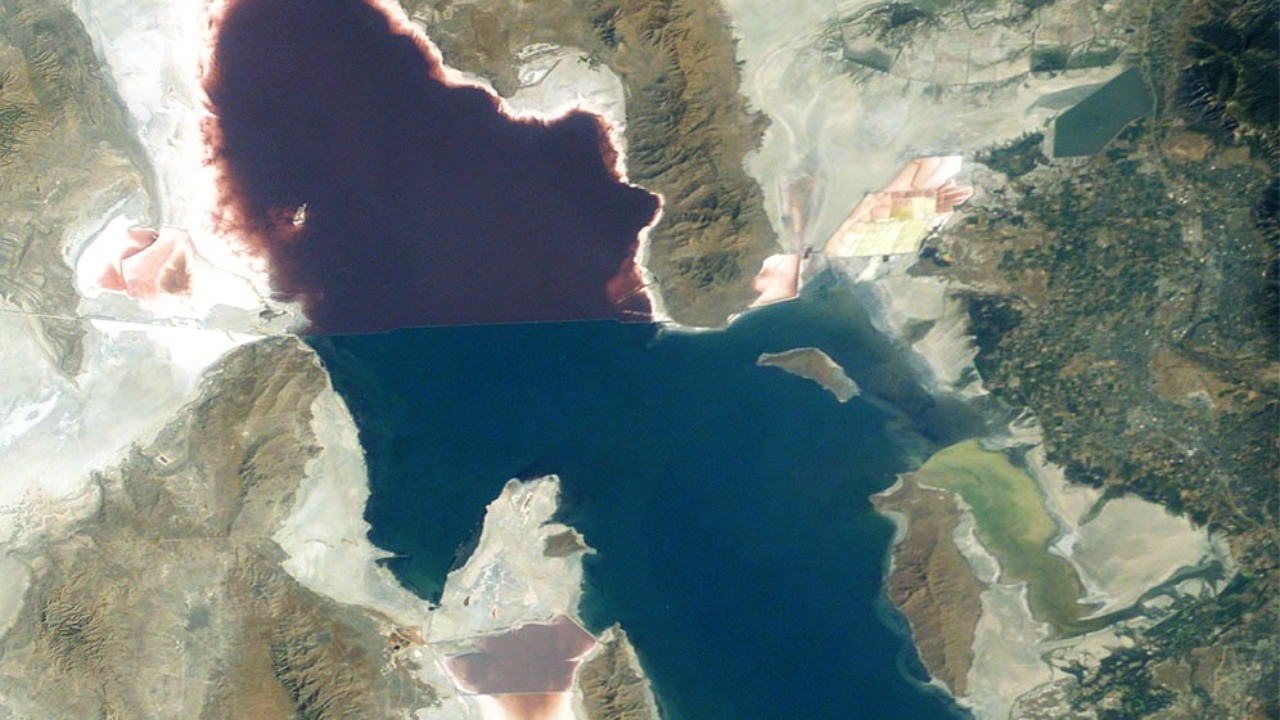 Utah scientists find a new Great Salt Lake species as only 3 animals ...