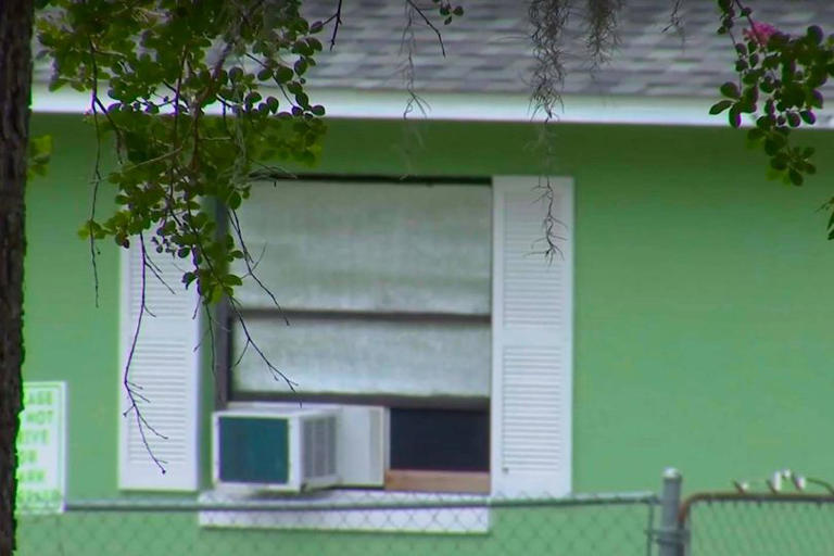 14-year-old 'sexually battered' defenseless neighbor, 91, in ...