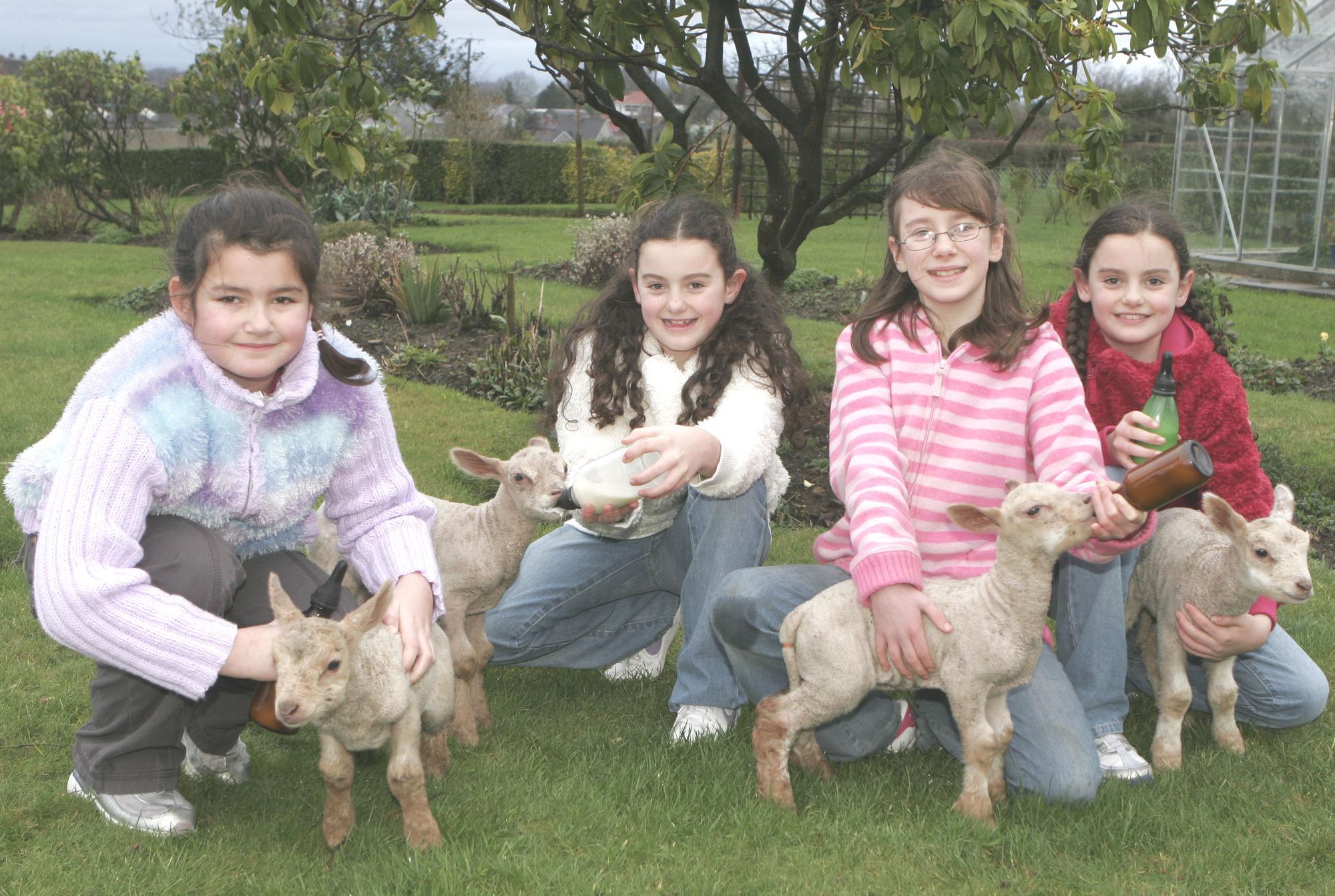 Minister attends the first annual poultry show held at Enniskillen Town ...