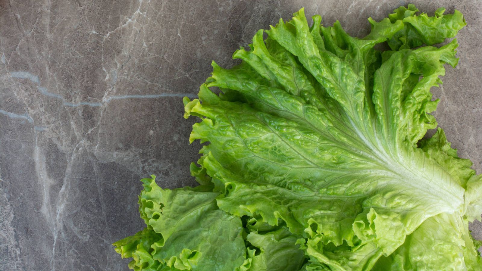 ¿Cuáles son las propiedades curativas de la lechuga?