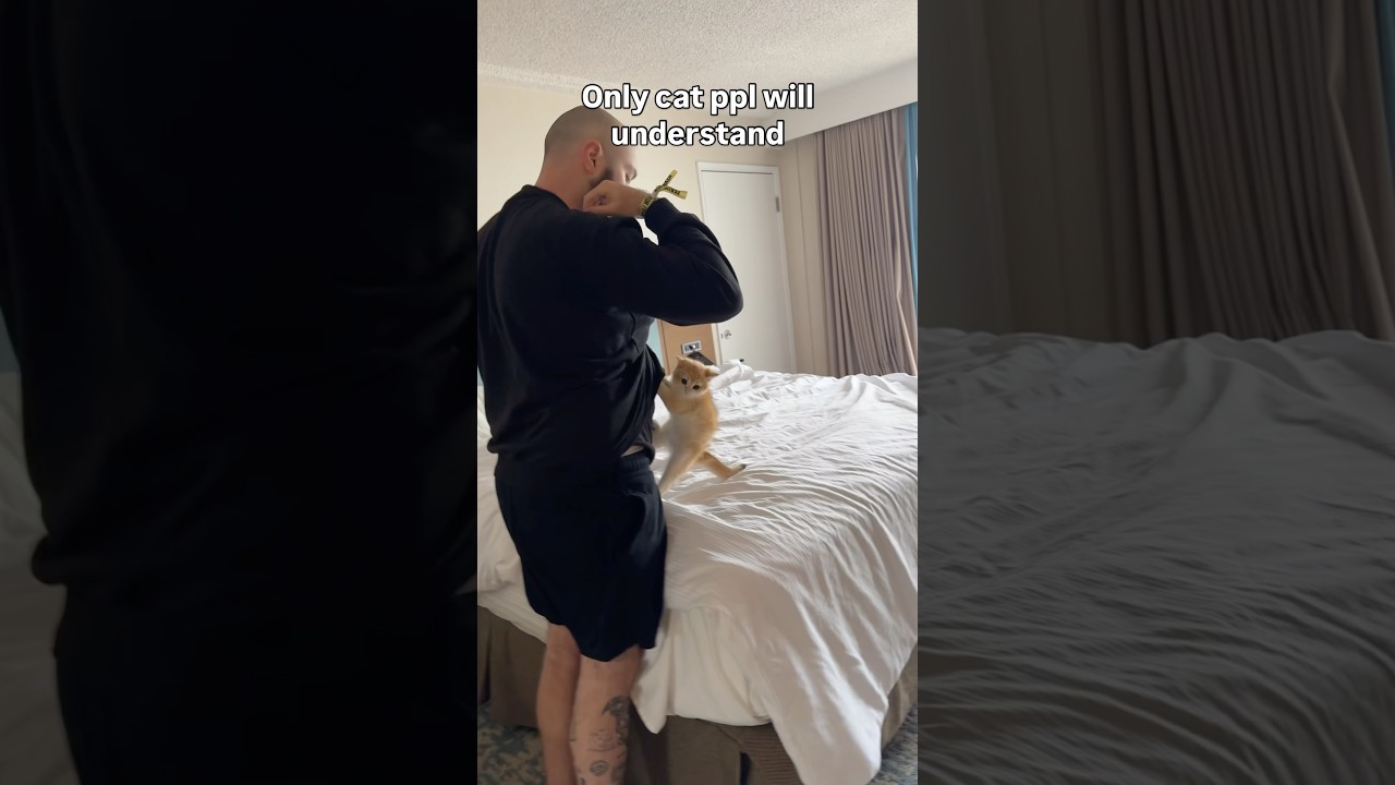 Caught sneaking a cat under my shirt
