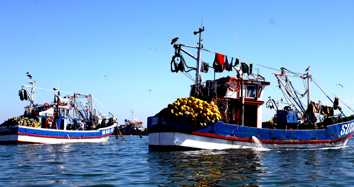 Pescadores industriales se querellan por piratería tras intento de robo ...