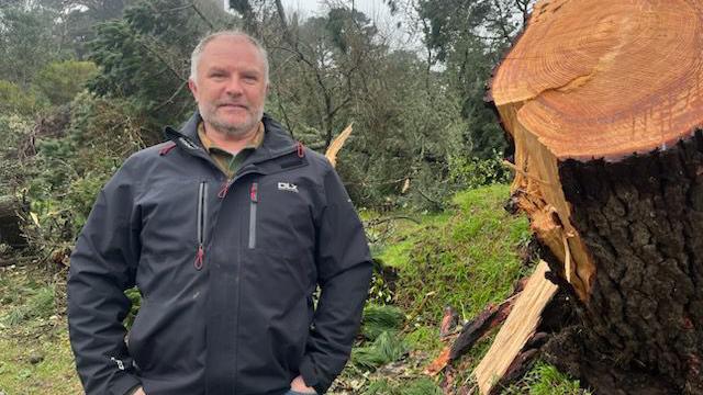 'We might never know' Storm Goretti's tree toll