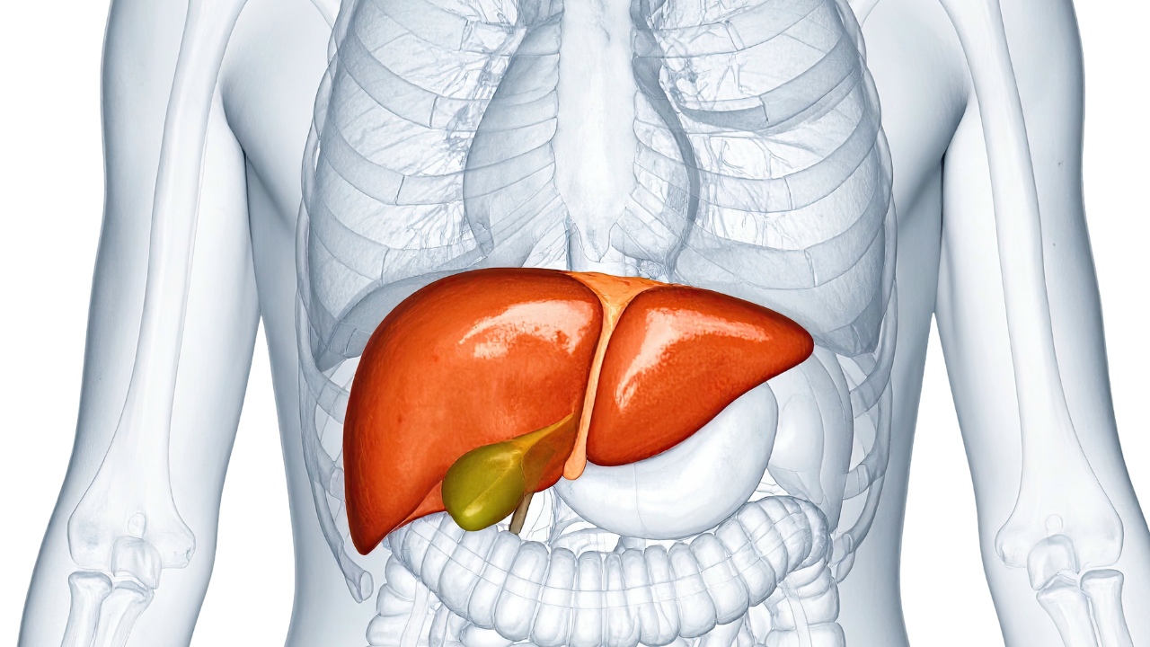 India ranks third in non alcoholic fatty liver disease cases, study finds
