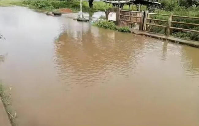 Limpopo and Mpumalanga floods: Urgent need for disaster preparedness