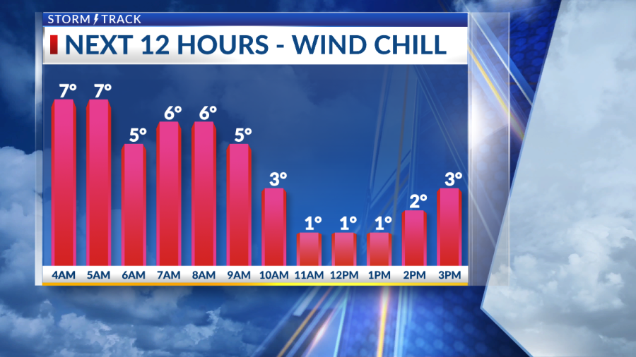 Cold and windy conditions dominate the weekend