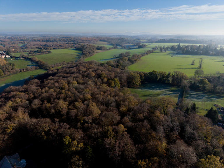 DJI Mini 5 Pro review – a huge leap forward for the mini drone