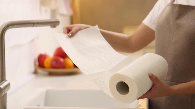 How much cash you can save by quitting paper towels (and we promise you ...