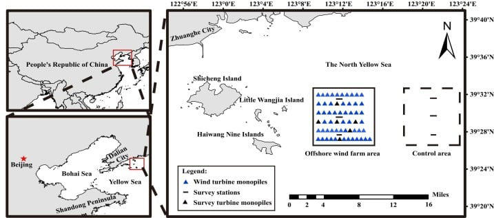 Built to power cities, China’s wind farms are doing more than just ...