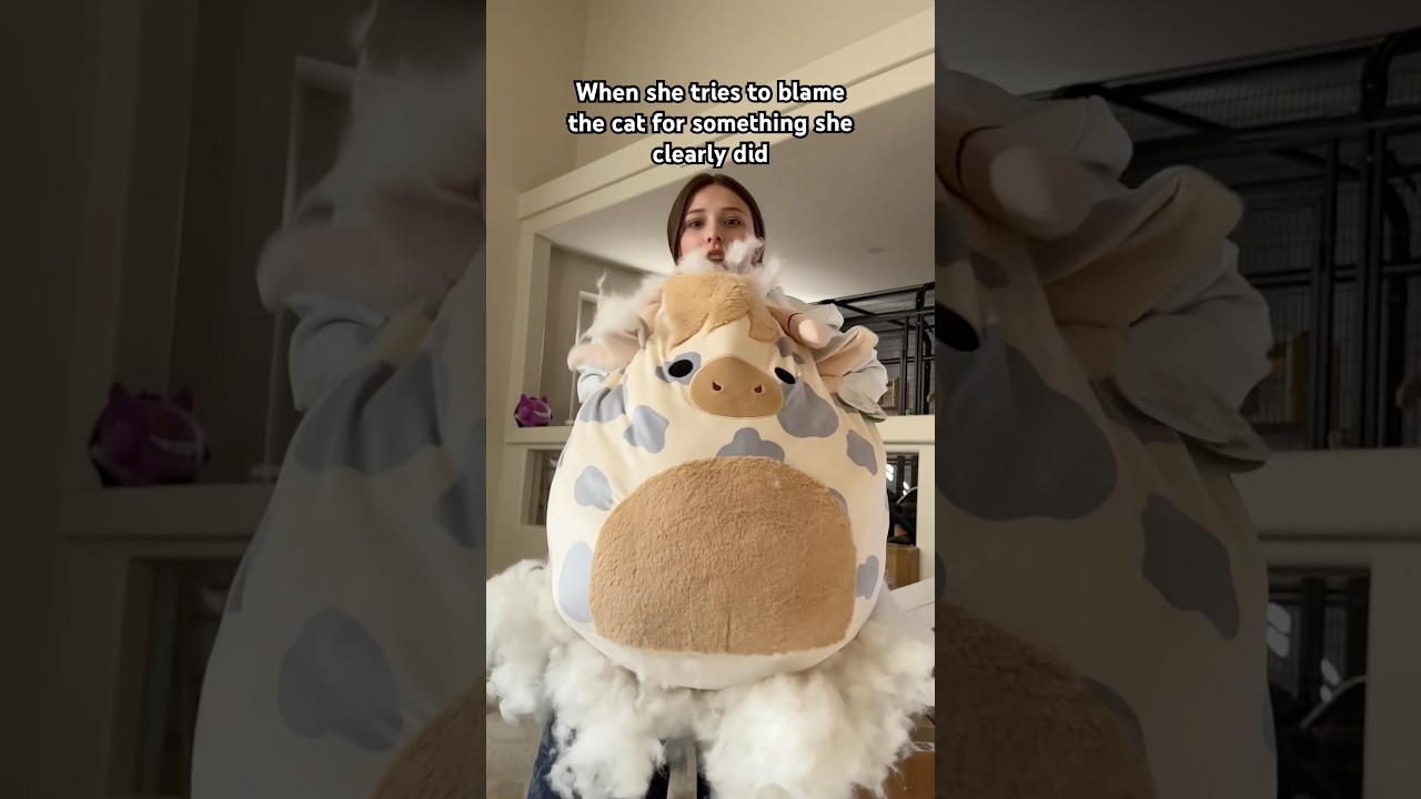 When she tries to blame the cat for something she did