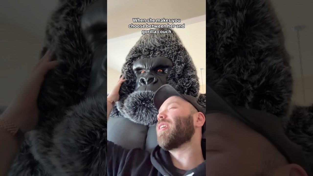 Girlfriend makes me choose between her and gorilla couch
