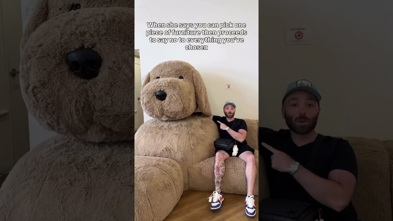 I tried convincing my girlfriend we need animal-shaped furniture