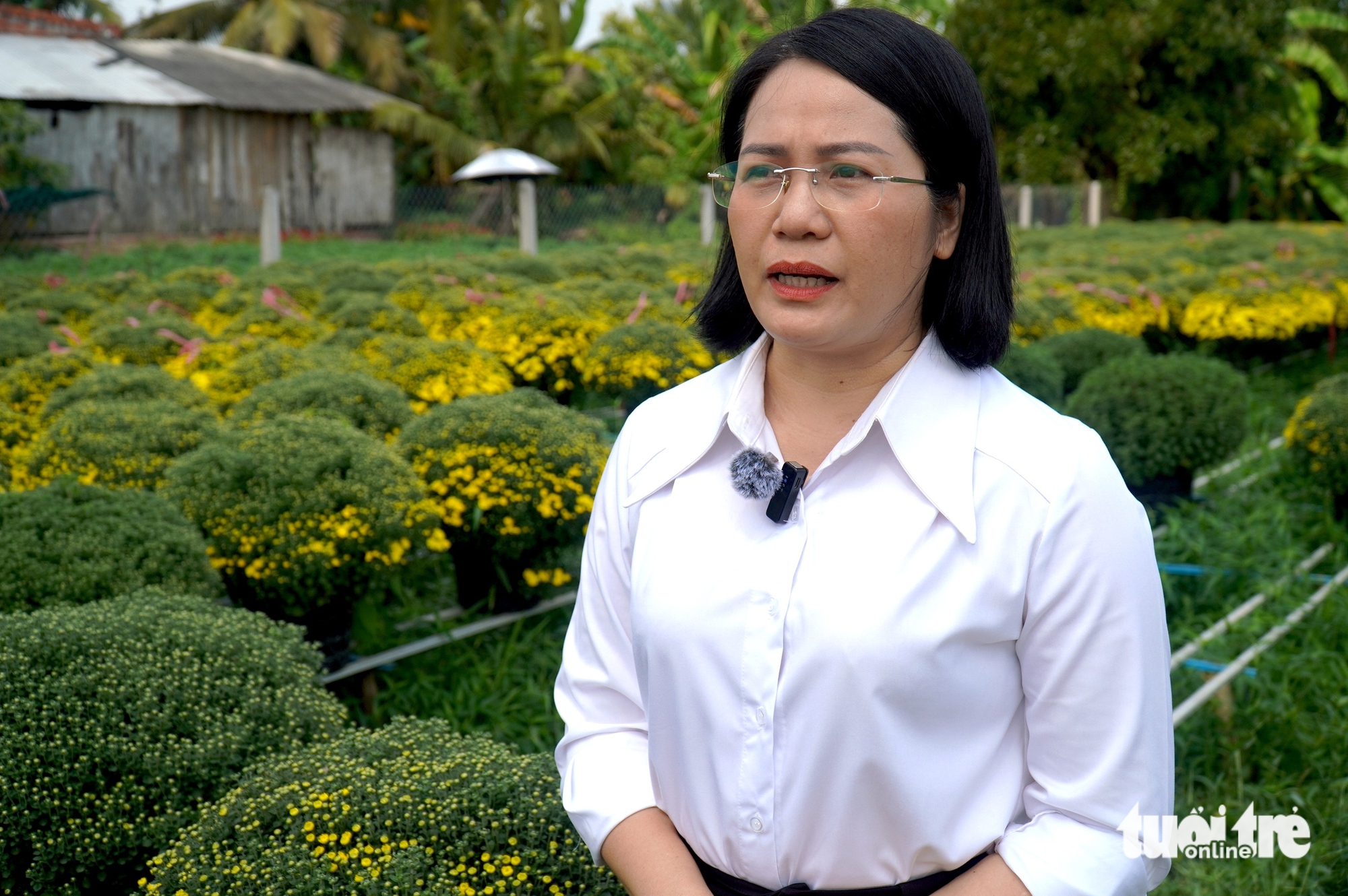 Bí thư và phó chủ tịch xã Chợ Lách livestream bán cúc mâm xôi giúp nhà vườn