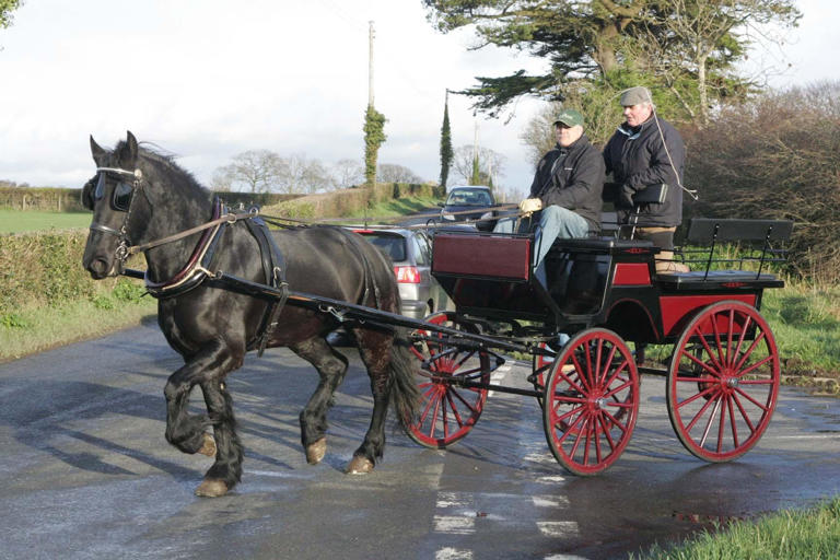 Minister attends the first annual poultry show held at Enniskillen Town ...