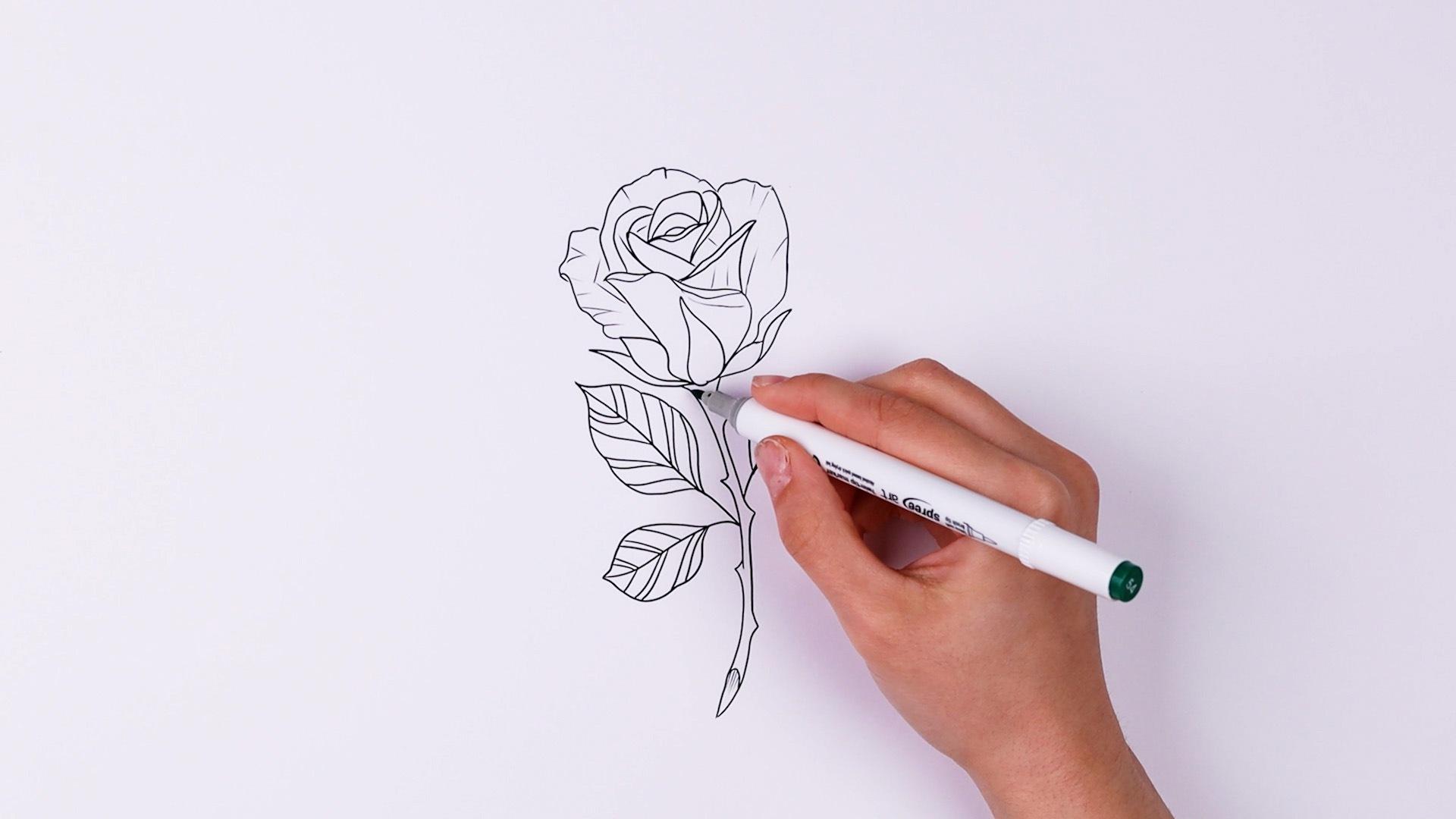 Creative rose drawing | Fun for kids