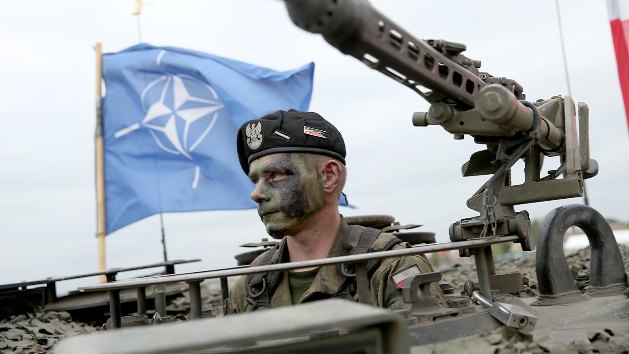 NATO ambassador says Europe 'has a tendency to overreact' over ...