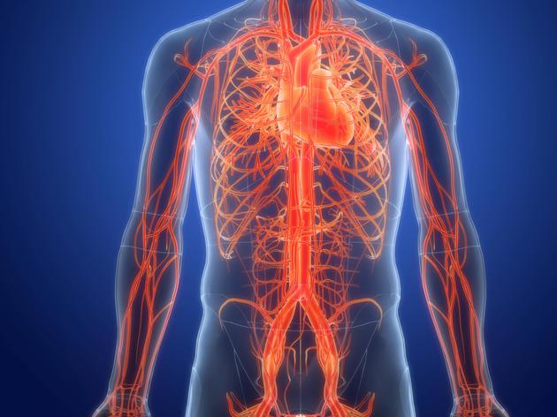 Personalisierte Medizin: Warum dieselbe Krankheit unterschiedliche ...