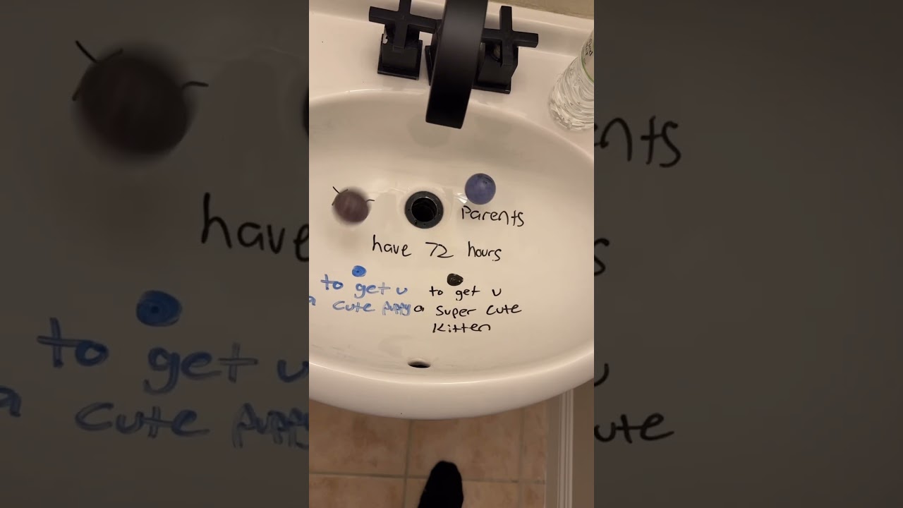 Balls of fate game decides which adorable pet comes home