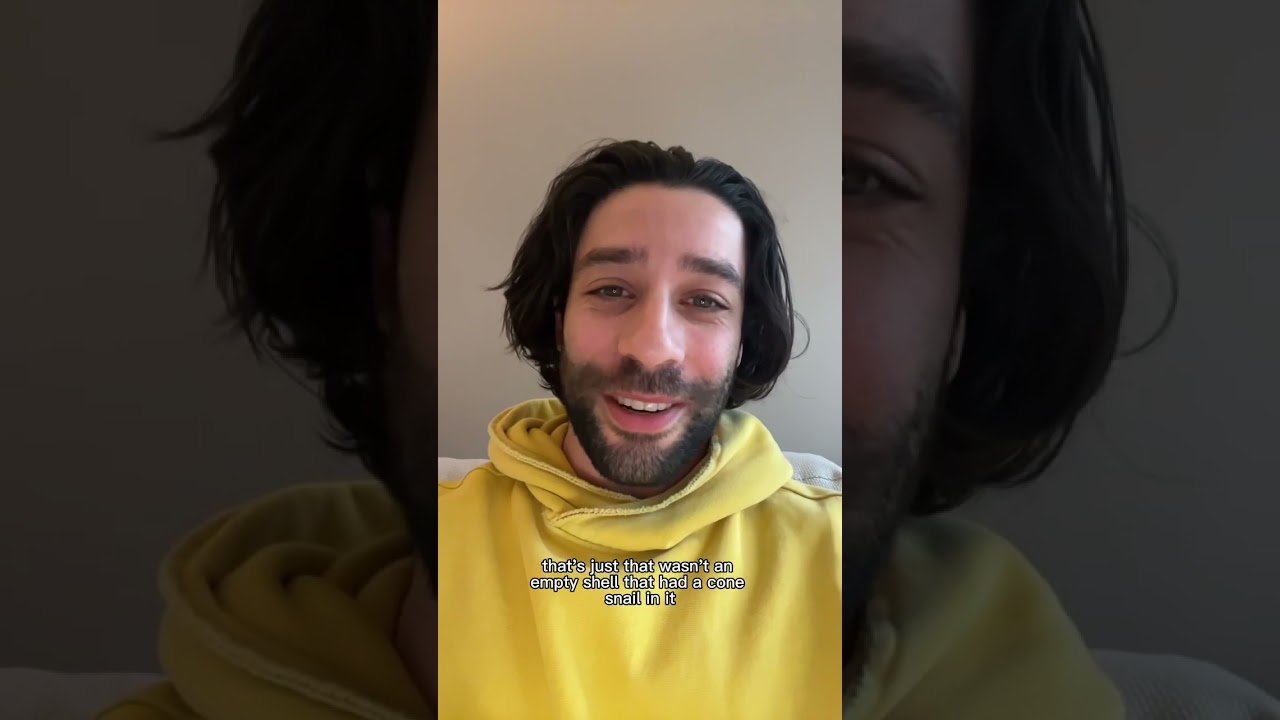 Stay away from this venomous shell and how to protect yourself