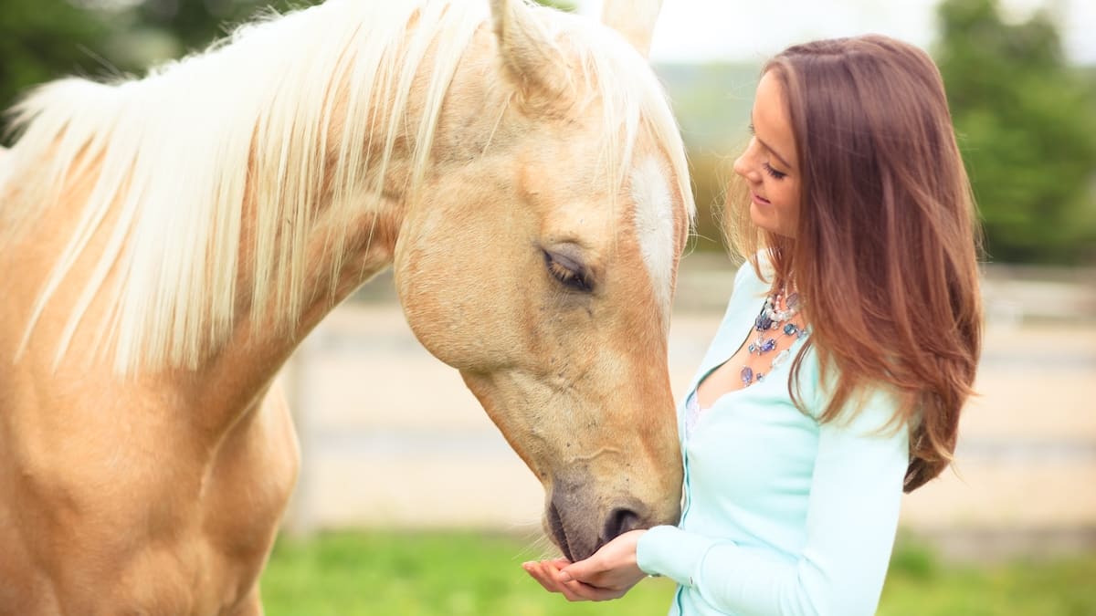 Studie zeigt: Pferde riechen die Angst des Menschen und reagieren