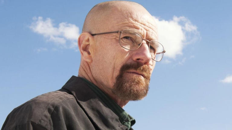Breaking Bad : et si Bryan Cranston n'avait jamais incarné Walter White ...