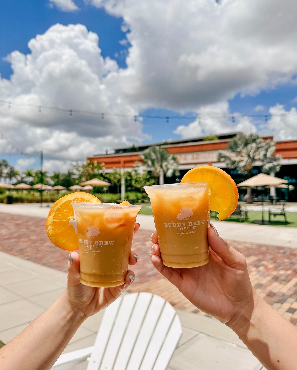 Buddy Brew Coffee expanding with new locations inside Sprouts Farmers ...