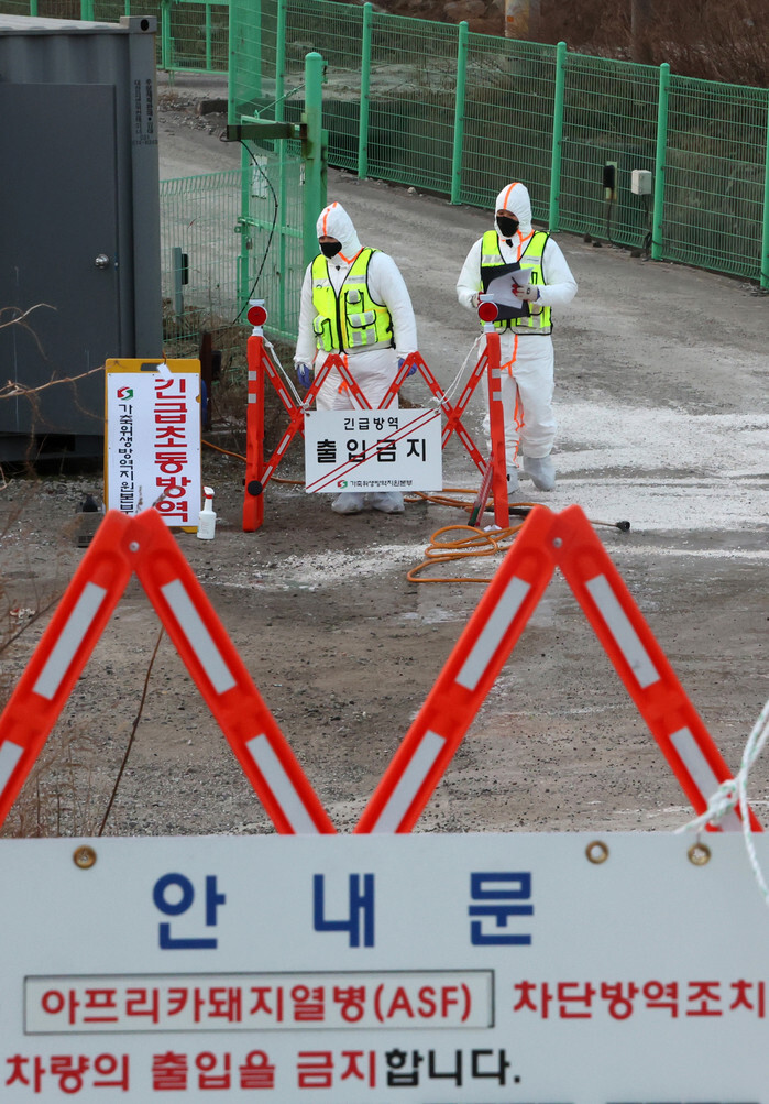 Outbreak of African swine fever