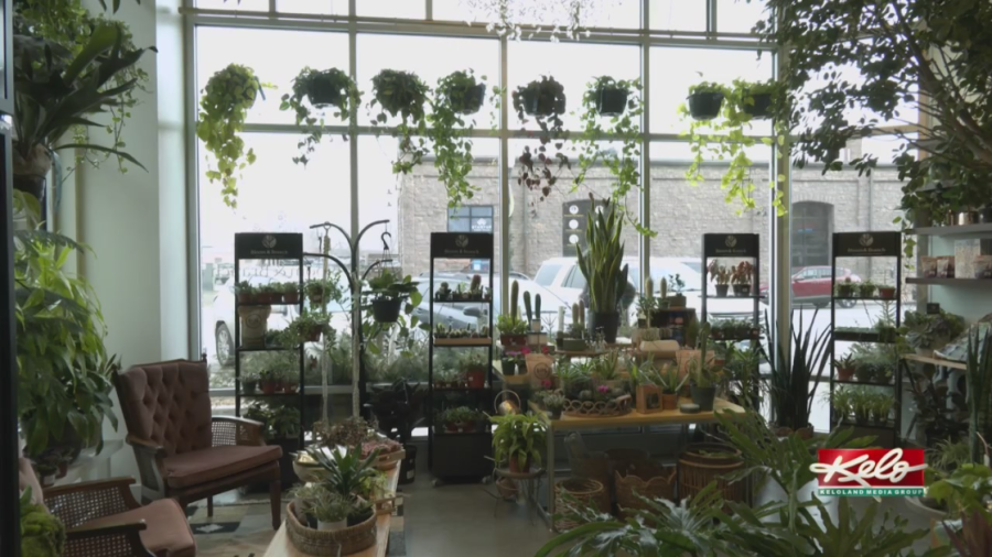 Landscape Garden Centers opens downtown boutique