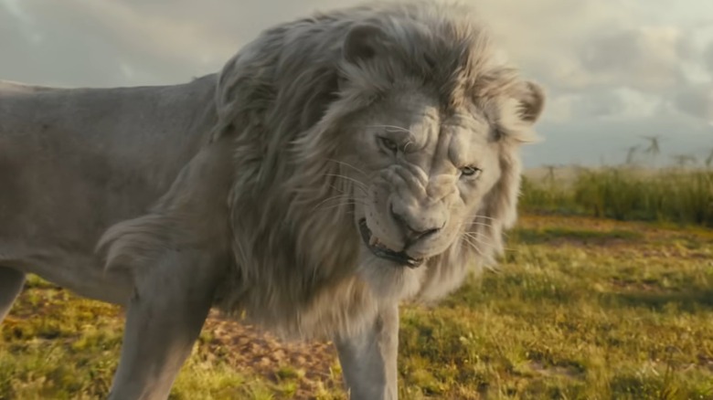 Small details you missed in Mufasa: The Lion King