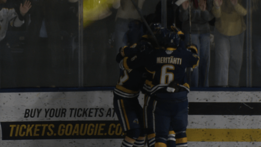 Augustana hockey shuts out Ferris State