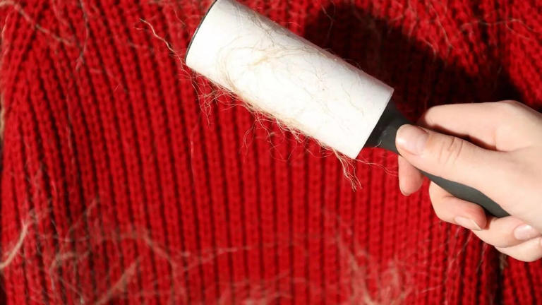 How to remove lint from woollen clothes at home: 5 easy DIY hacks for ...