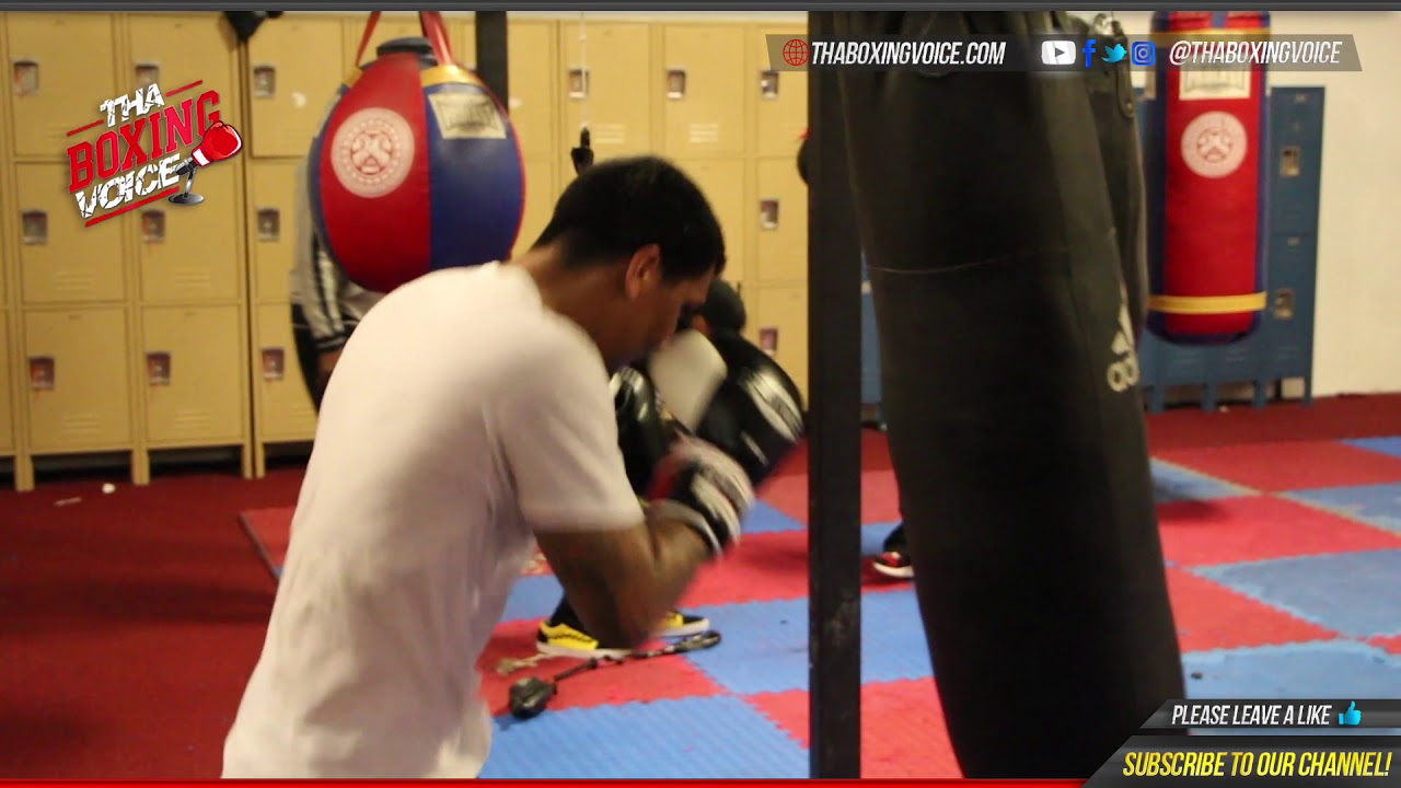 Luís Arias Lead Sparring Partner For Jermall Charlo Working The Heavy ...