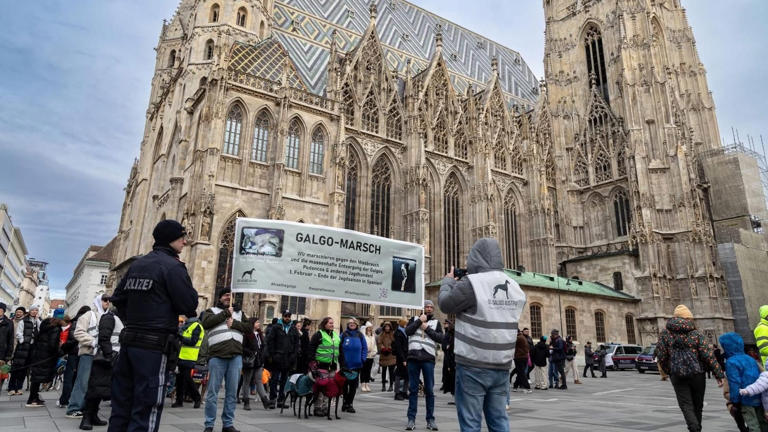 Trifft man dich am dritten Wiener Galgo-Marsch?