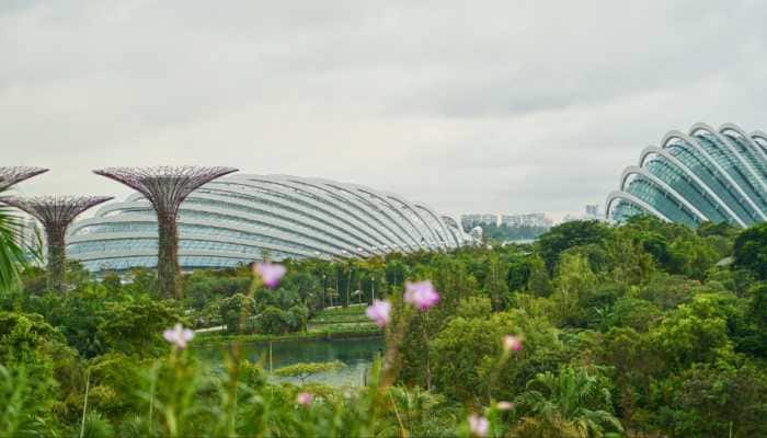 The Tamil-speaking utopia that isn't India: Inside the world's 'garden ...