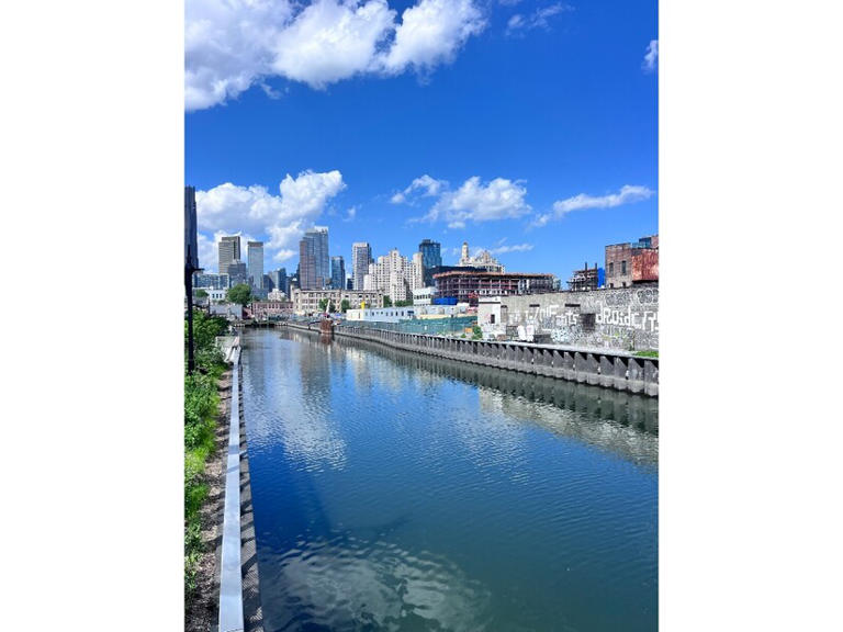 🌱 Patch AM: Woman killed in Brooklyn hit-and-run crash, driver still at ...