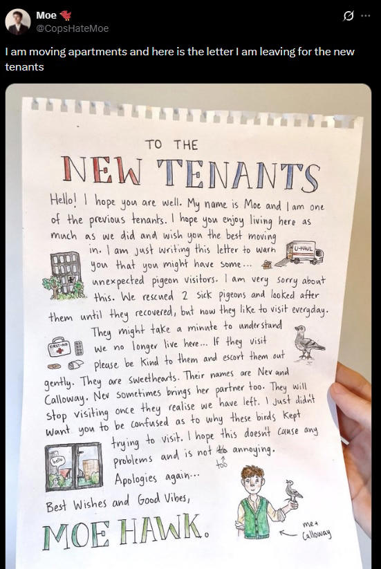 Man's wholesome letter explaining 'unexpected pigeon visitors' to new ...