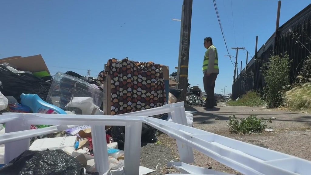 Community volunteer targeted by thief while cleaning illegal dumping ...