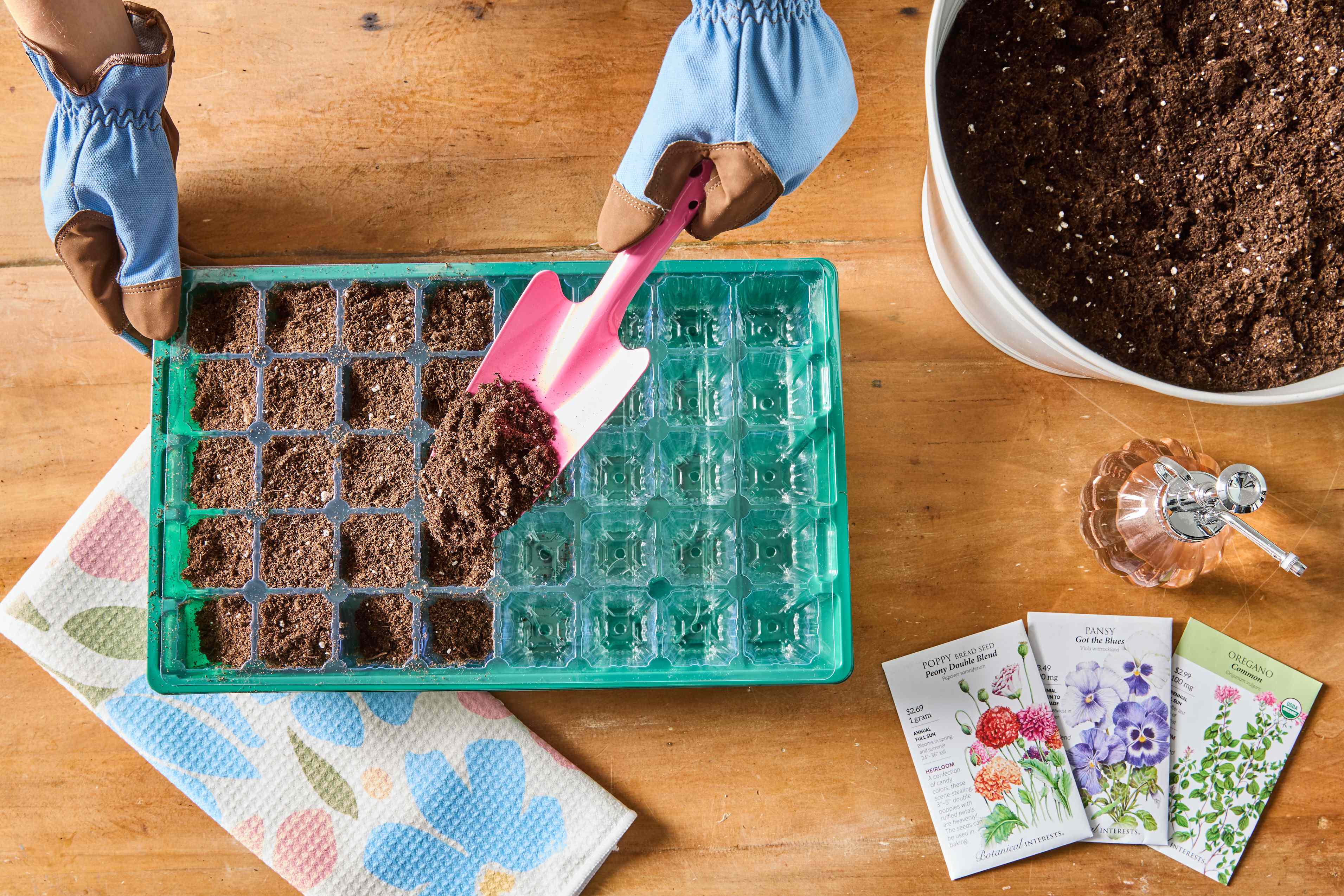It’s way too early to start these 6 popular seeds, gardeners say