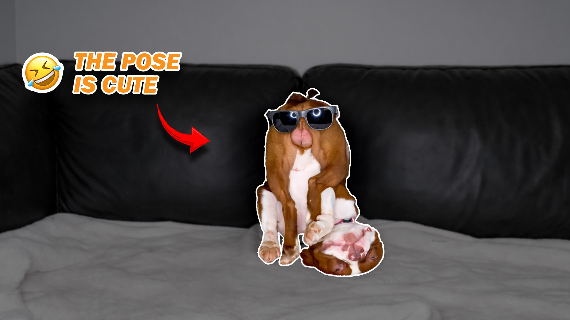 When the unexpected turns into a funny moment