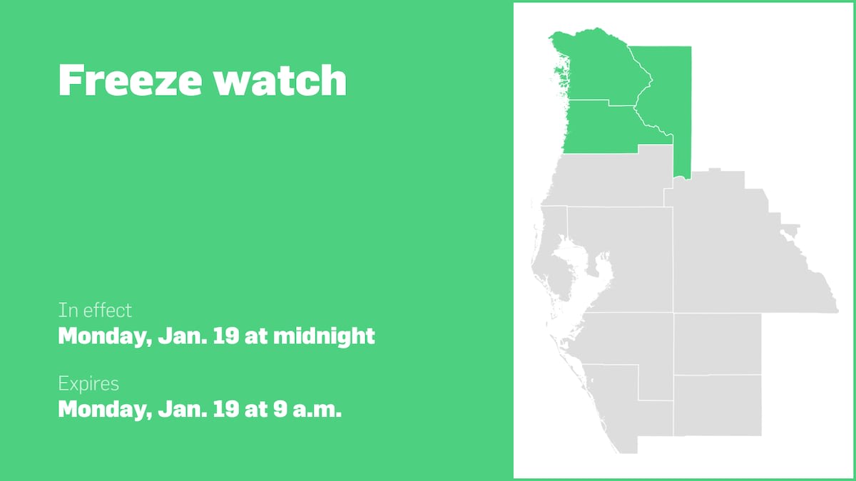 Freeze watch affecting central west Florida Monday – temperatures to ...