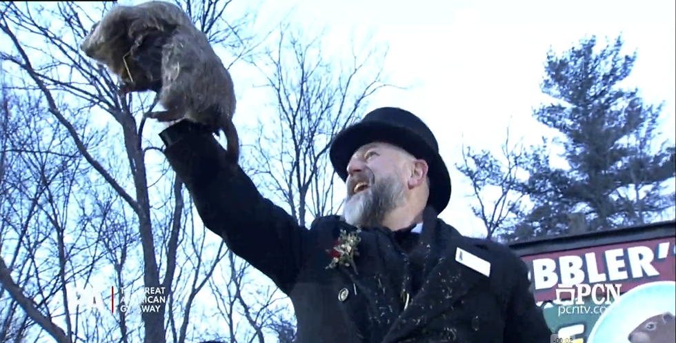 How to watch live to see if Punxsutawney Phil sees his shadow today