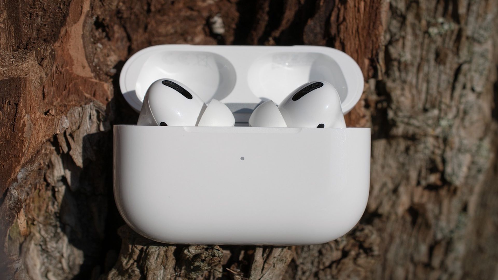 Teen survives 80 meter fall after hearing mom's voice through AirPods